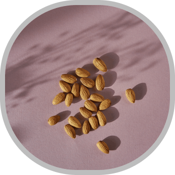 Sadnice badema | Sertifikovane sadnice | 100 godina tradicije